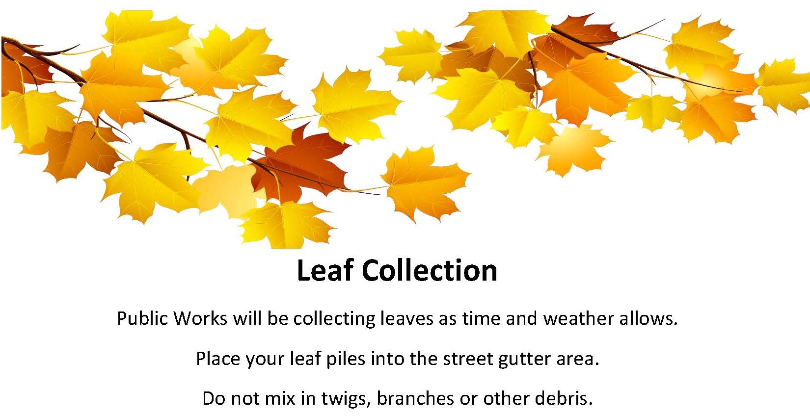 Leaf Collection Starts Thursday October 20th Village Of Brooklyn leaf-collection-starts-thursday-october-20th-village-of-brooklyn