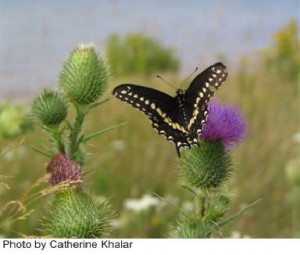 About Us - Town of Brule, Douglas County, Wisconsin