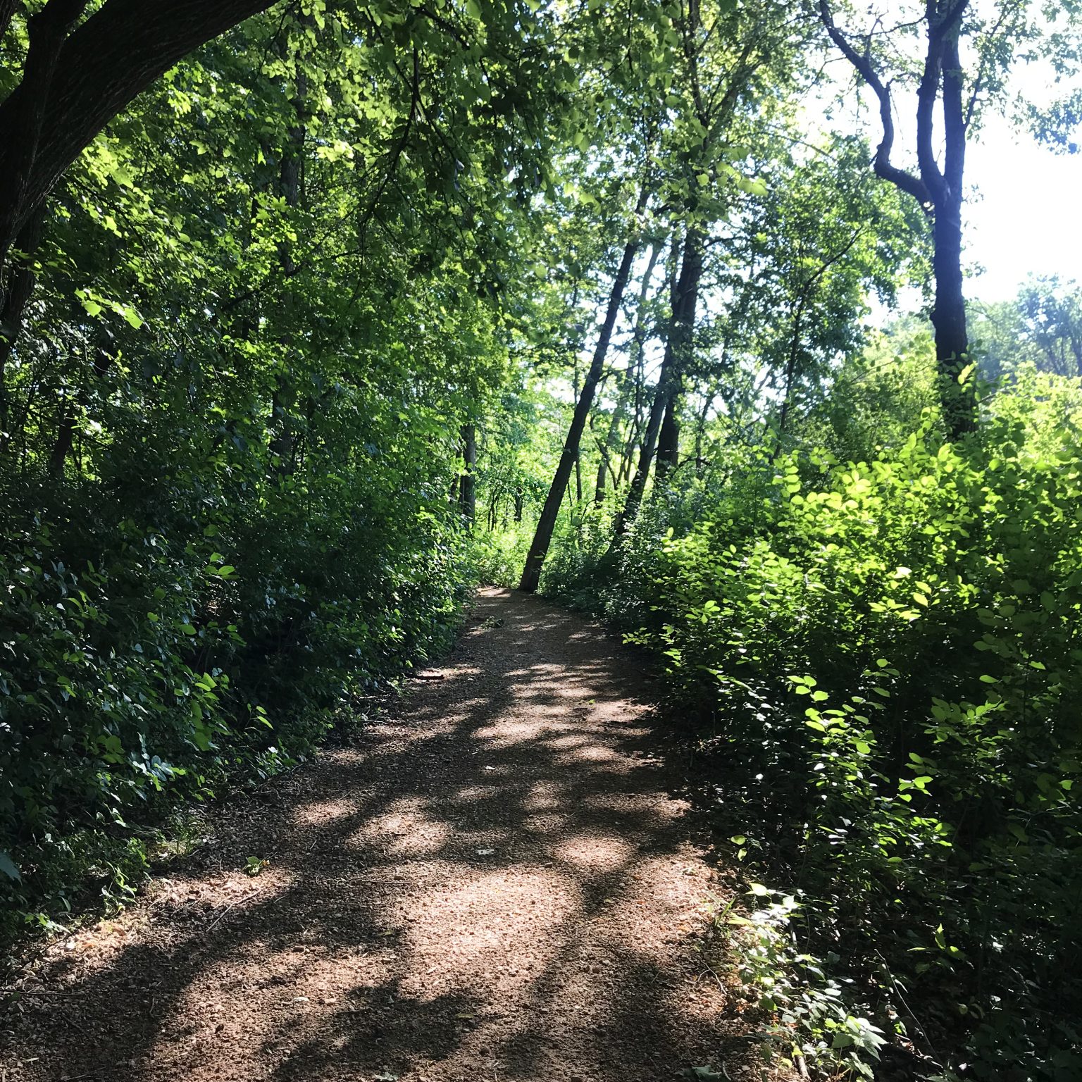 City Parks & Trails – City of Deephaven