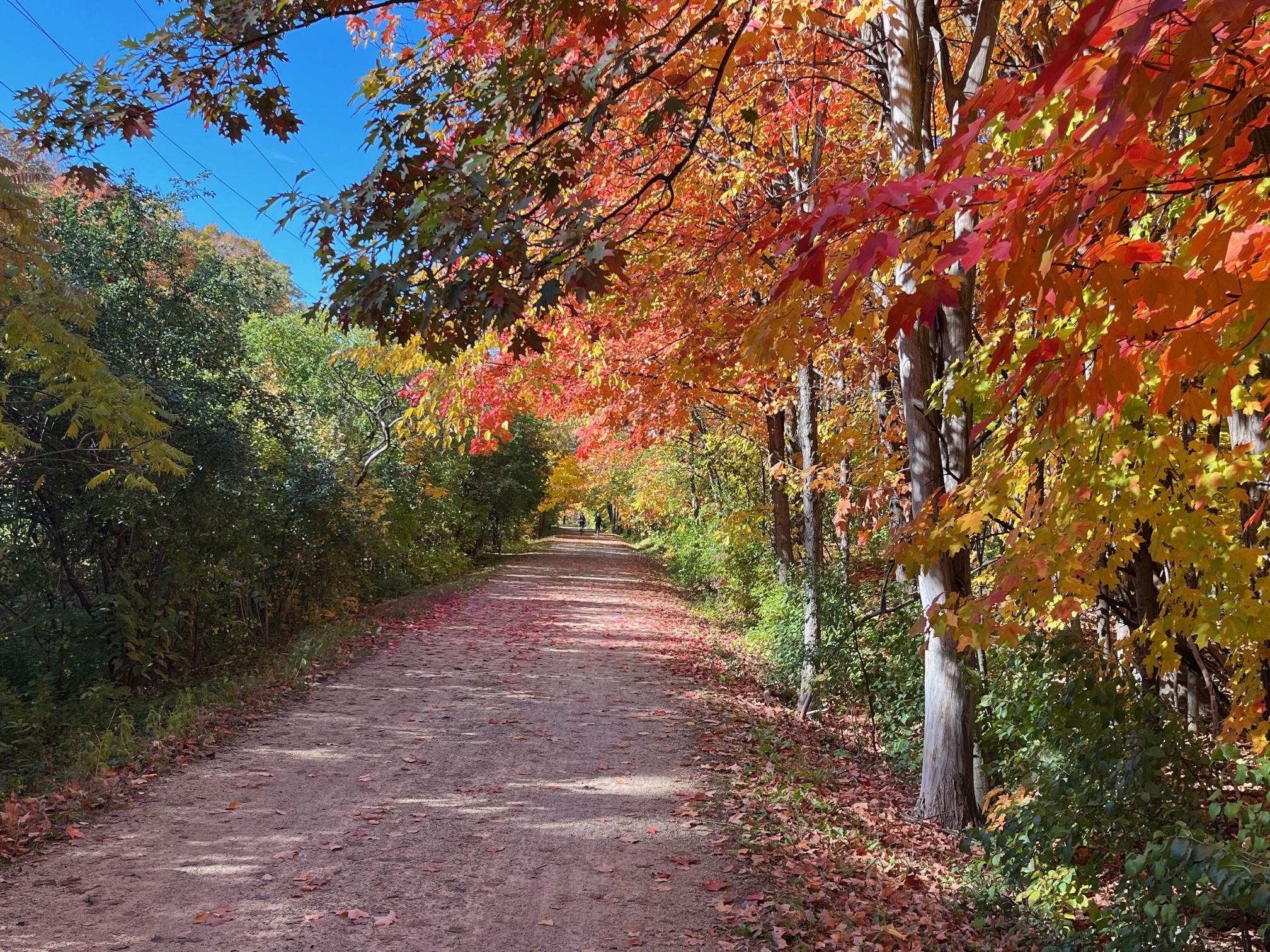 Walkability & Bikability Survey – City of Deephaven