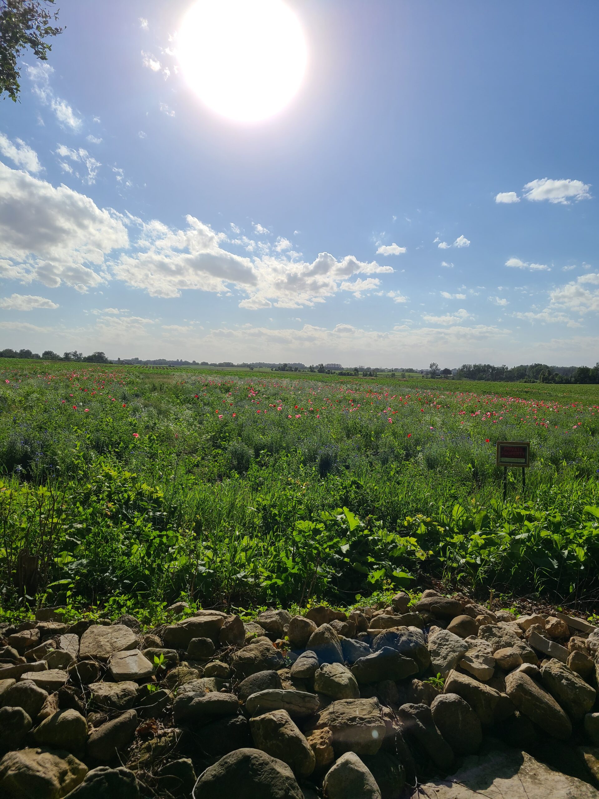 Gallery – City of New Holstein, Wisconsin