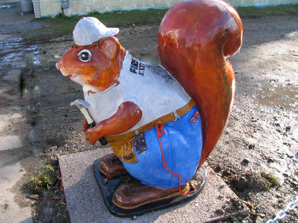 Squirrels - City of Olean