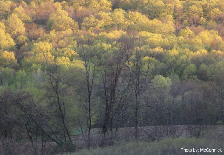 Town of Greenfield – Official Website of Town of Greenfield, Sauk ...