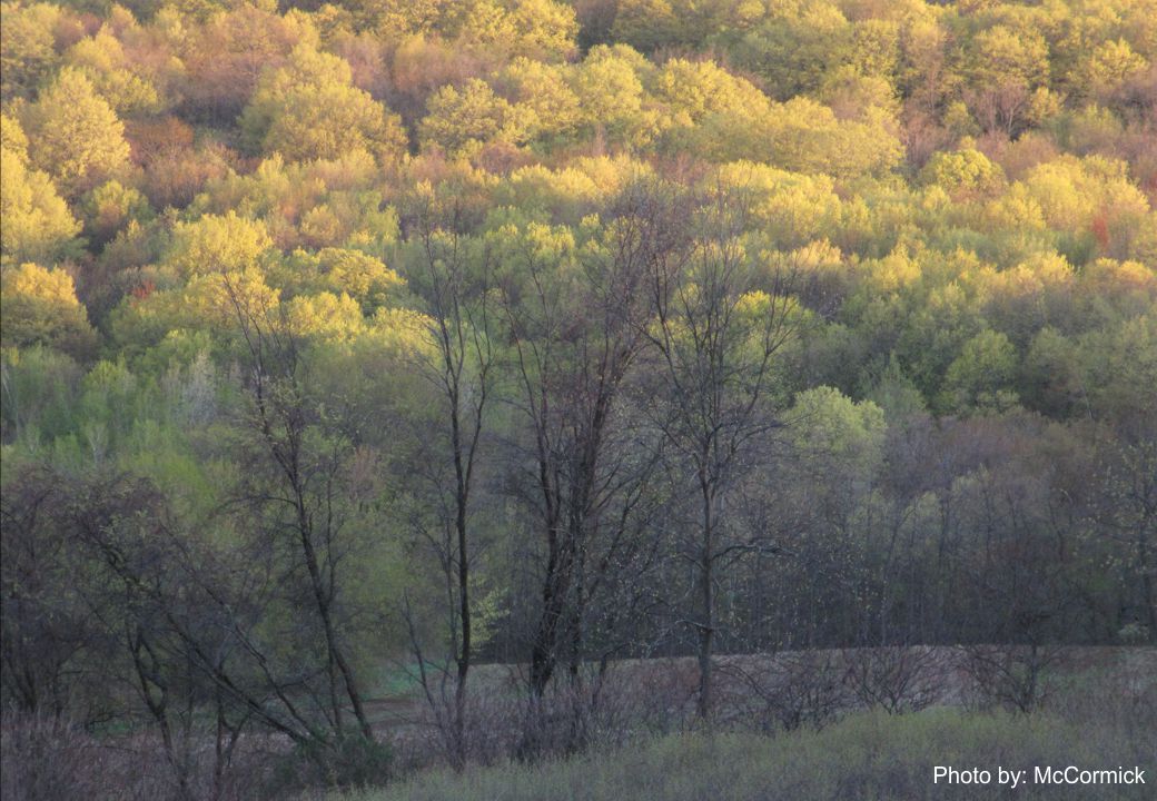 Town of Greenfield – Official Website of Town of Greenfield, Sauk ...