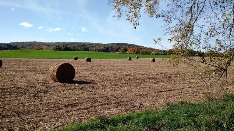 Town of Greenfield – Official Website of Town of Greenfield, Sauk ...