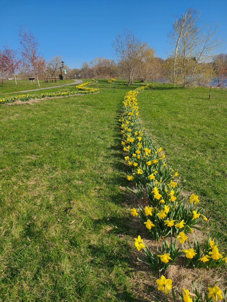 About Us - Town of Howland