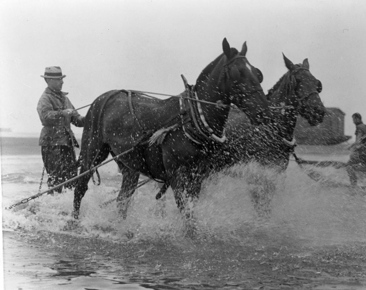 About us – City of Ilwaco, Pacific County, WA