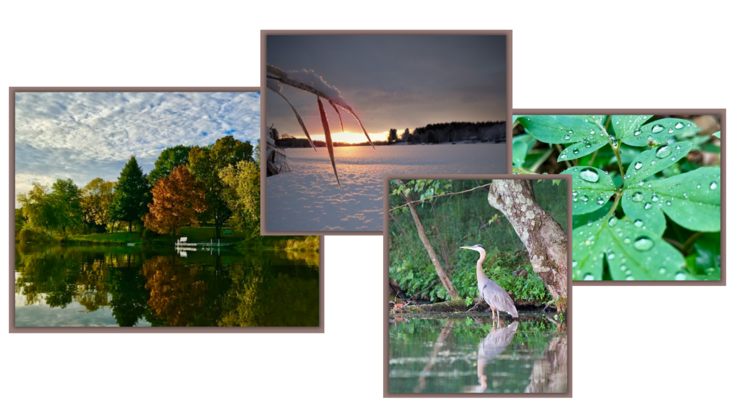 Home - Lawrence Lake Protection and Rehabilitation District