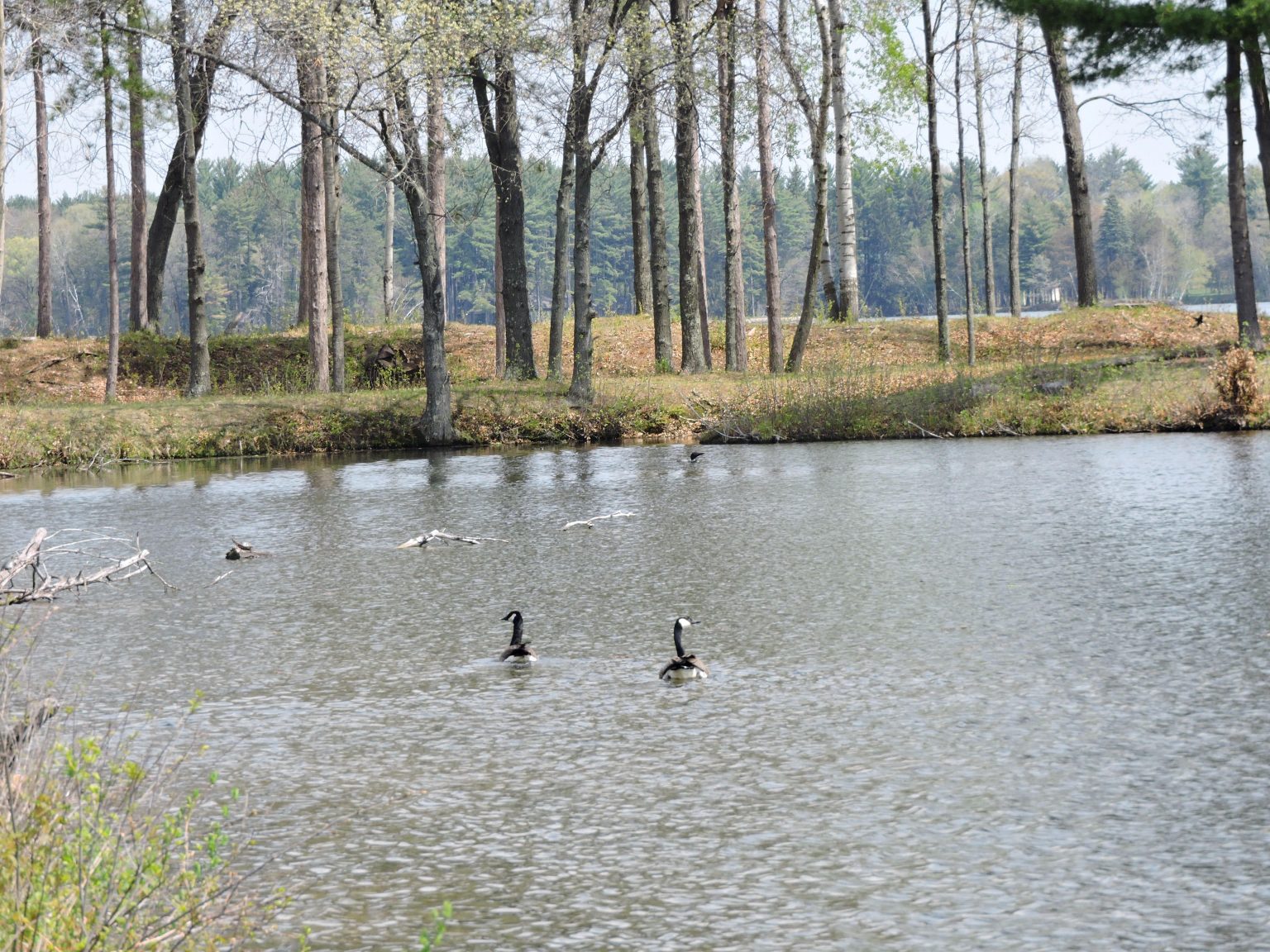 Gallery – Nepco Lake District