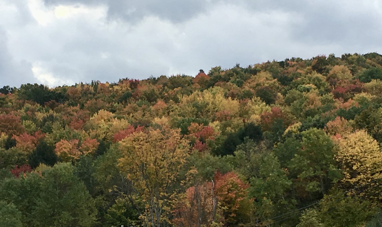 Home - Town of Coldspring