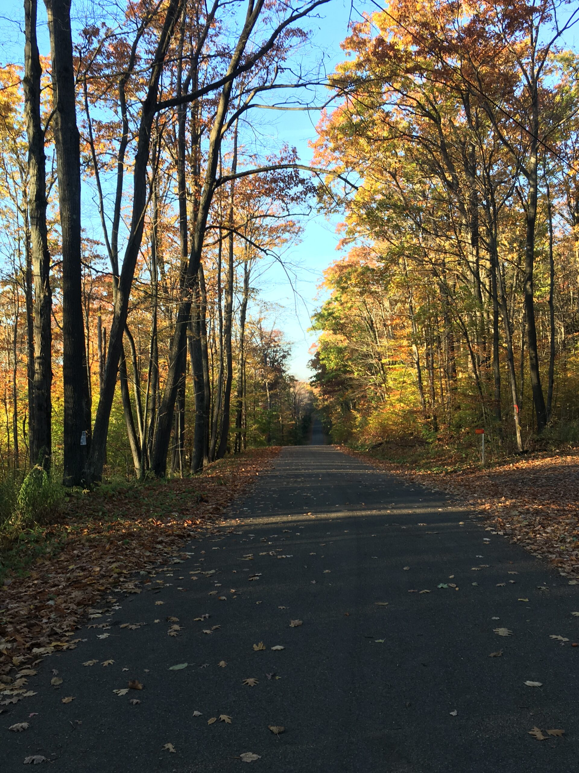 Home - Town of Coldspring