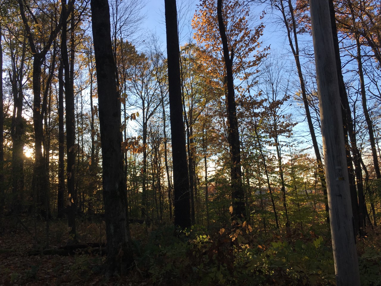 Home - Town of Coldspring