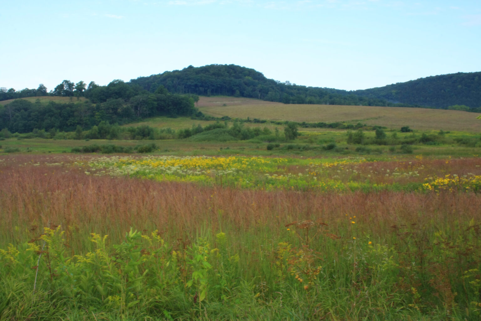 Image Gallery - Town of Dane, Dane County, Wisconsin