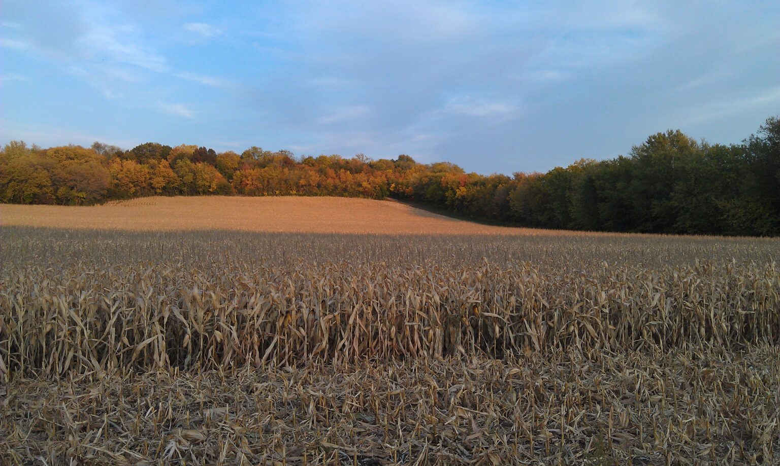 Image Gallery - Town of Dane, Dane County, Wisconsin