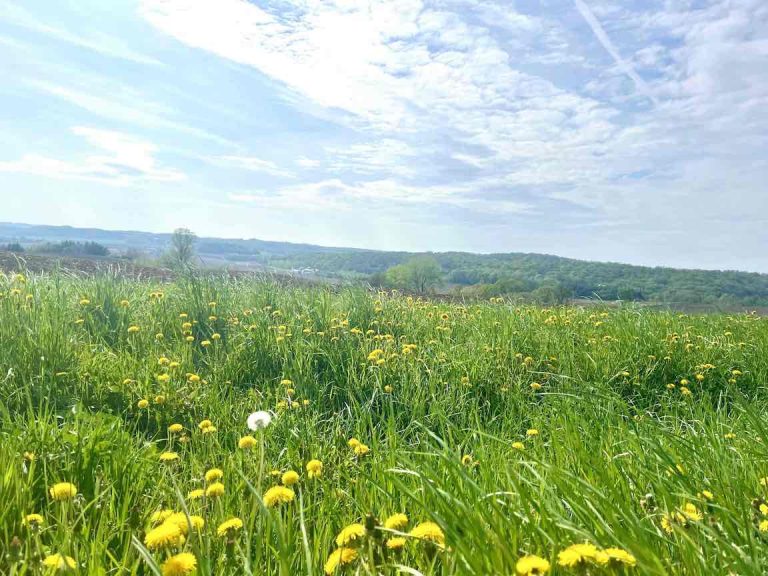 Image Gallery - Town of Dane, Dane County, Wisconsin