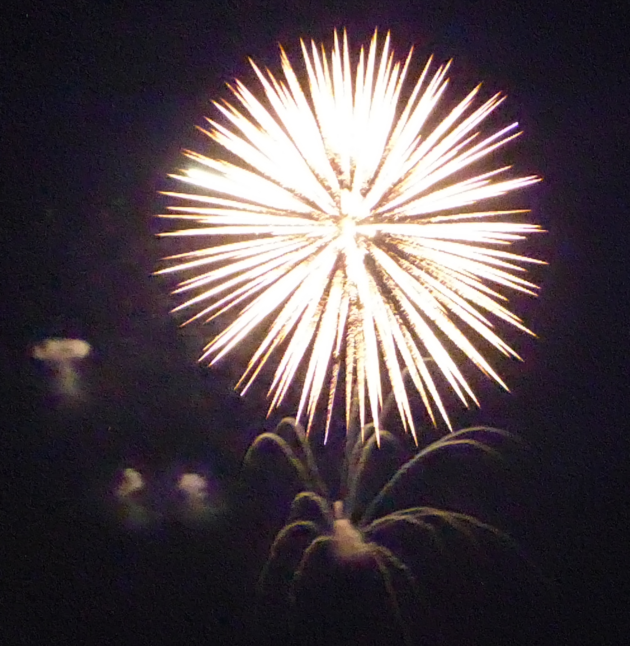 Reminder to all Town of Dane Residents-Fireworks Permits are now ...
