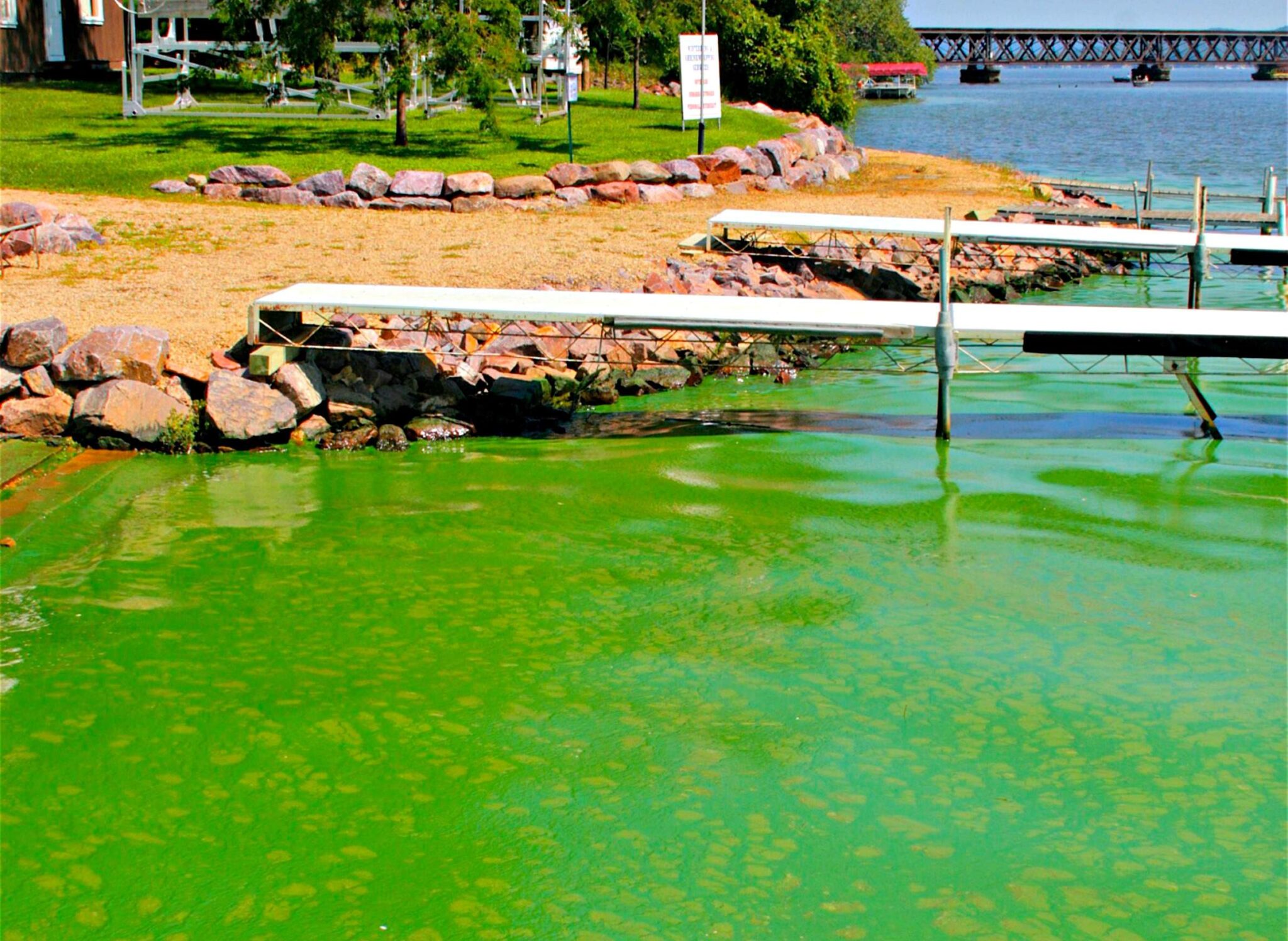 Keeping Delavan Lake Phosphorus-Free - Town of Delavan
