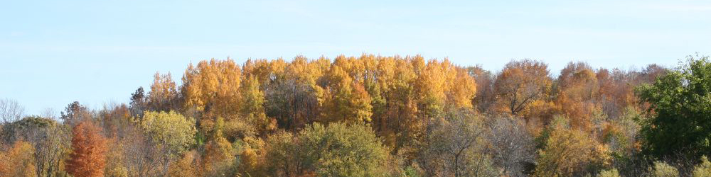 Town of Jefferson, Jefferson County, Wisconsin | Official Website of ...