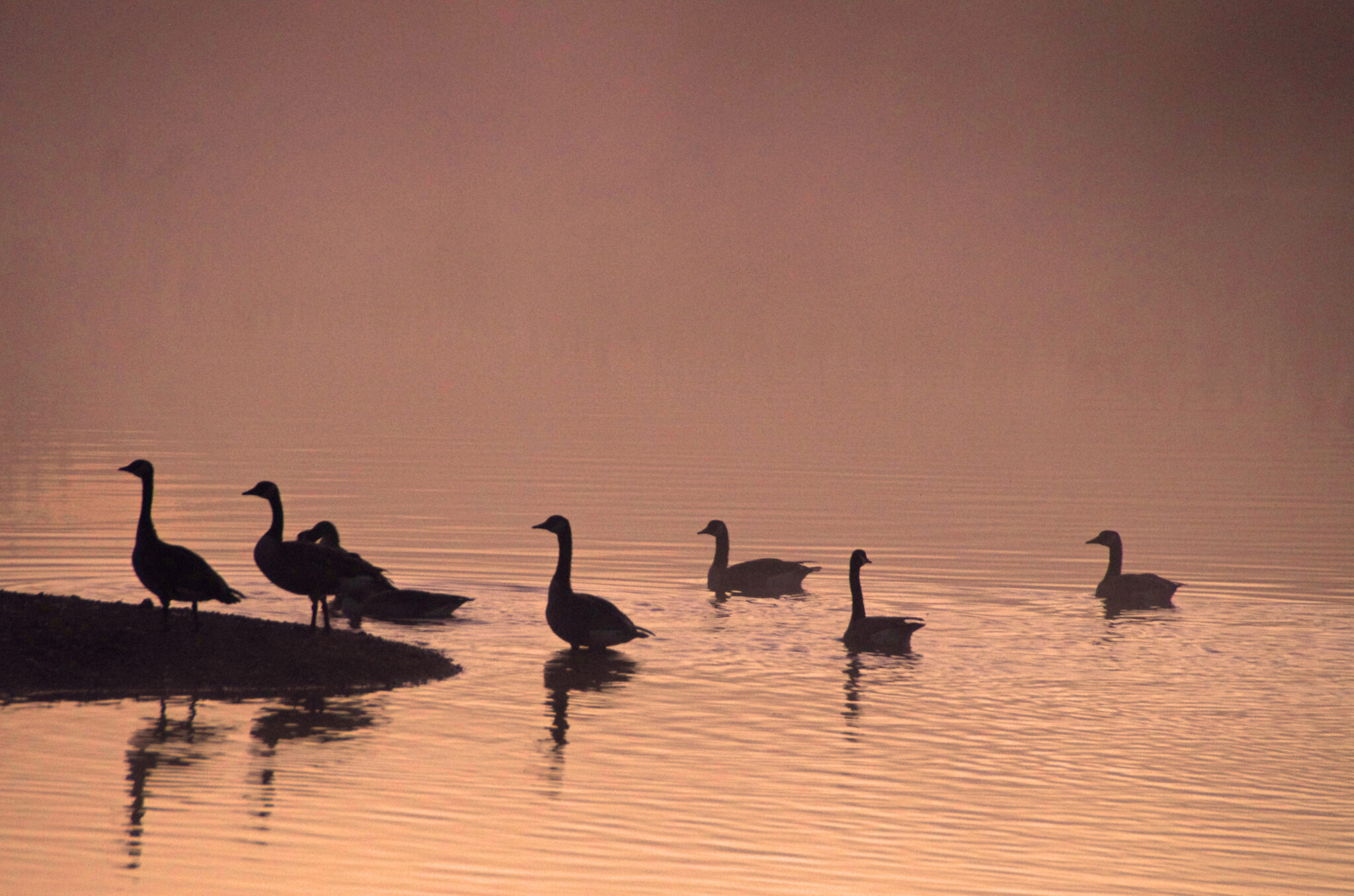 Town of Kewaskum – Wisconsin