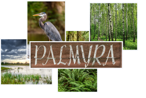 Home - Town of Palmyra