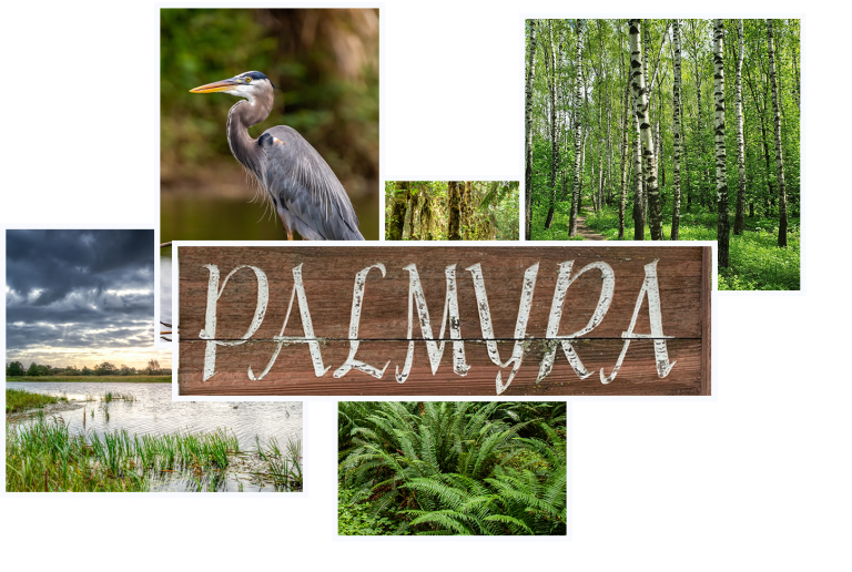 Home - Town of Palmyra