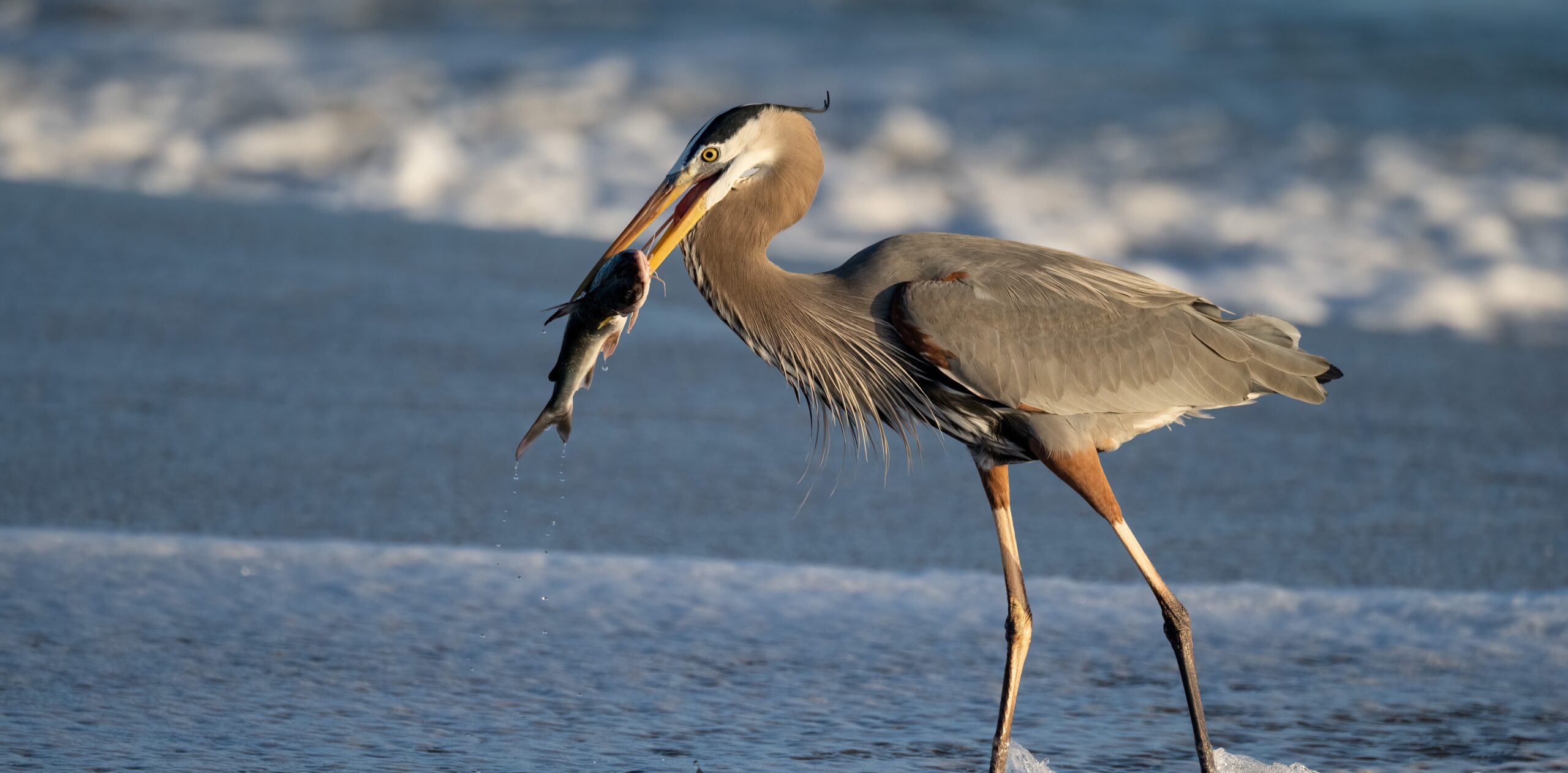 2023 Header – Town of Redington Beach, Pinellas County, Florida