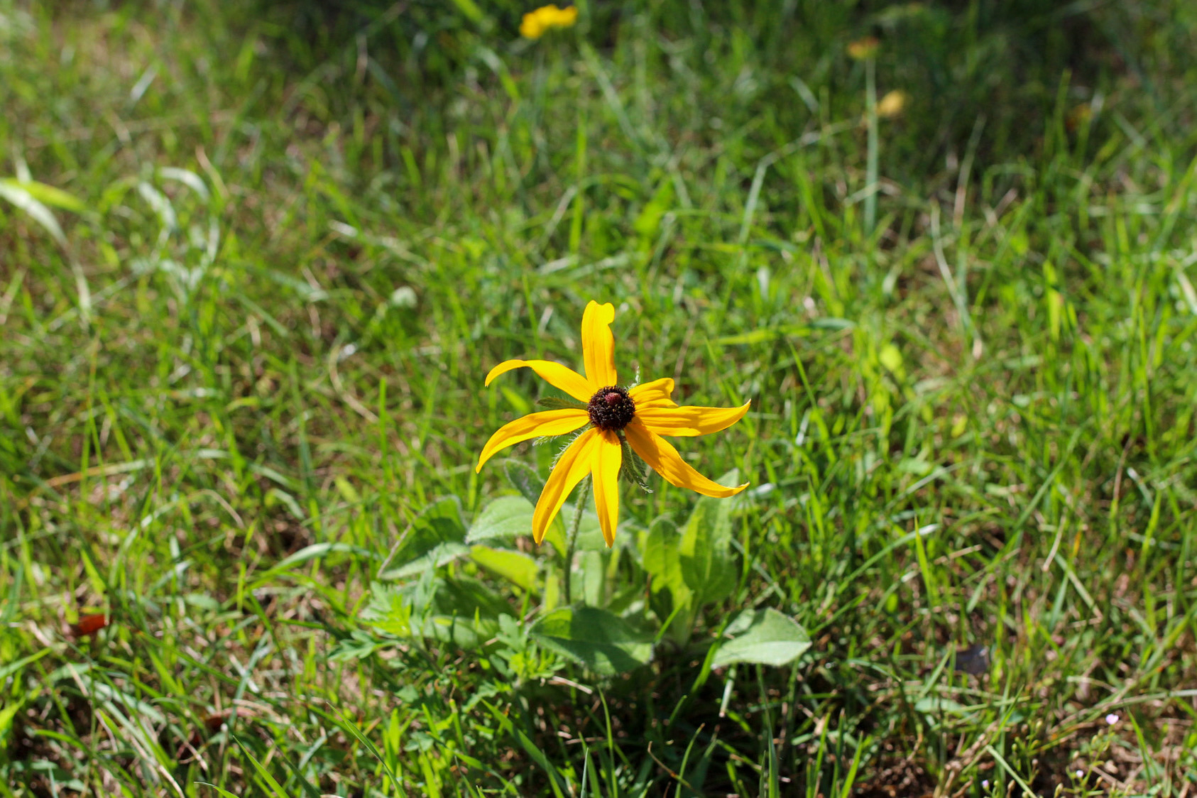 Home - Town of Russell