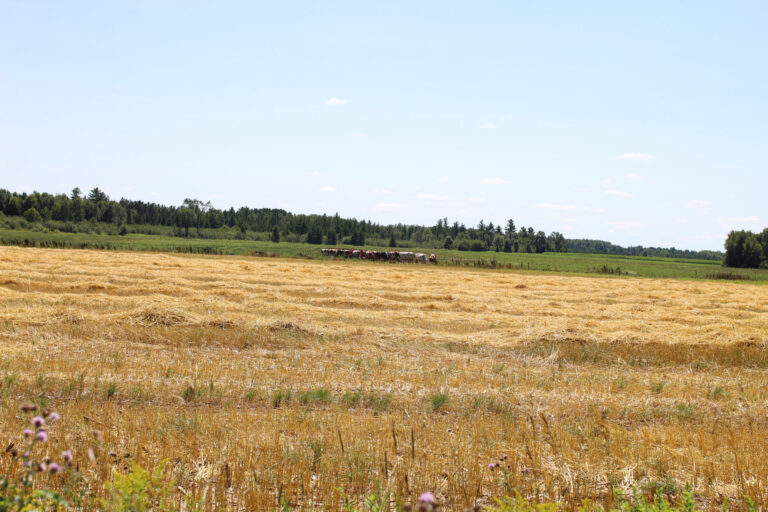 Home - Town of Russell