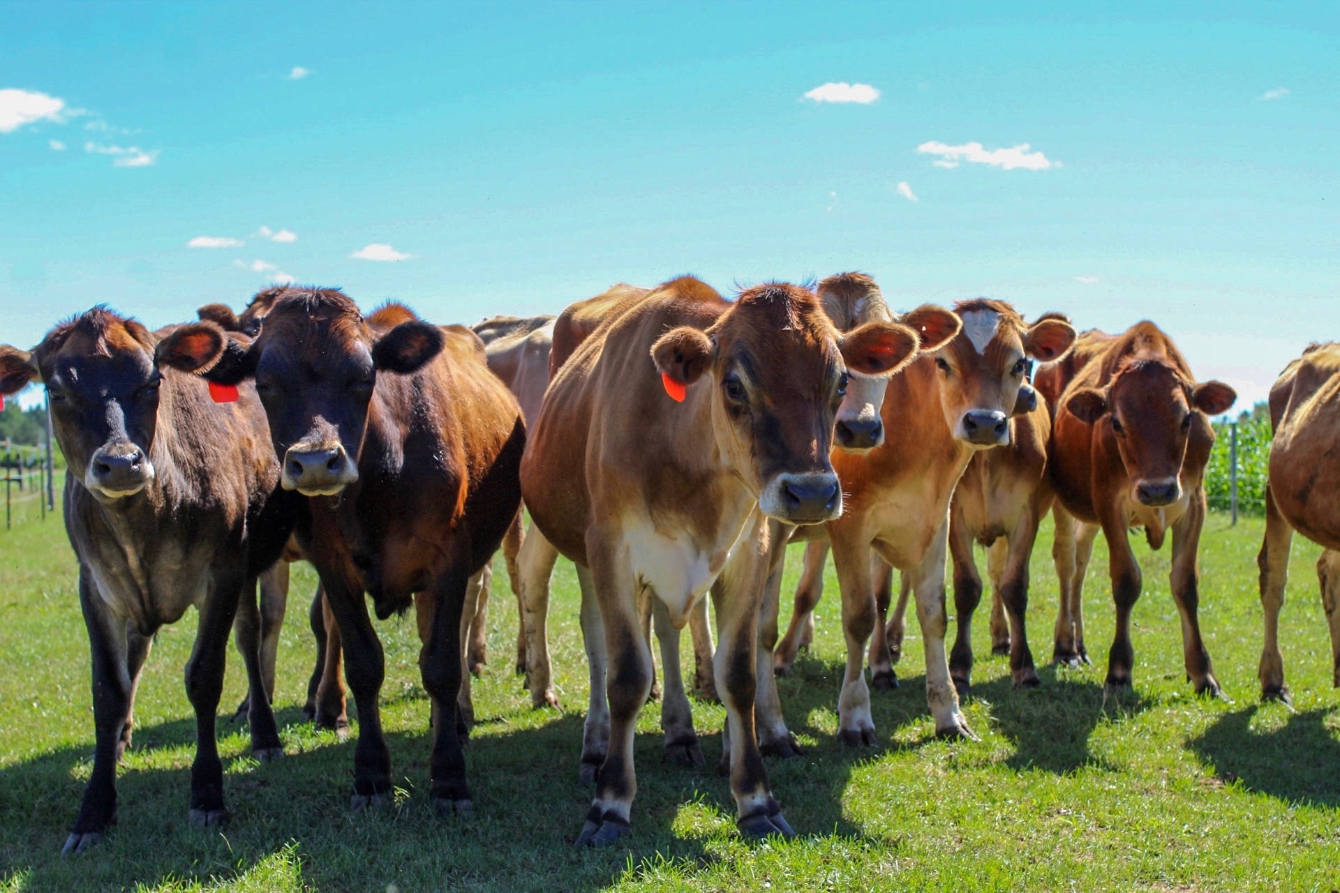 Home - Town of Russell