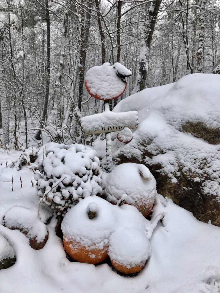 Gallery - Town of Spider Lake