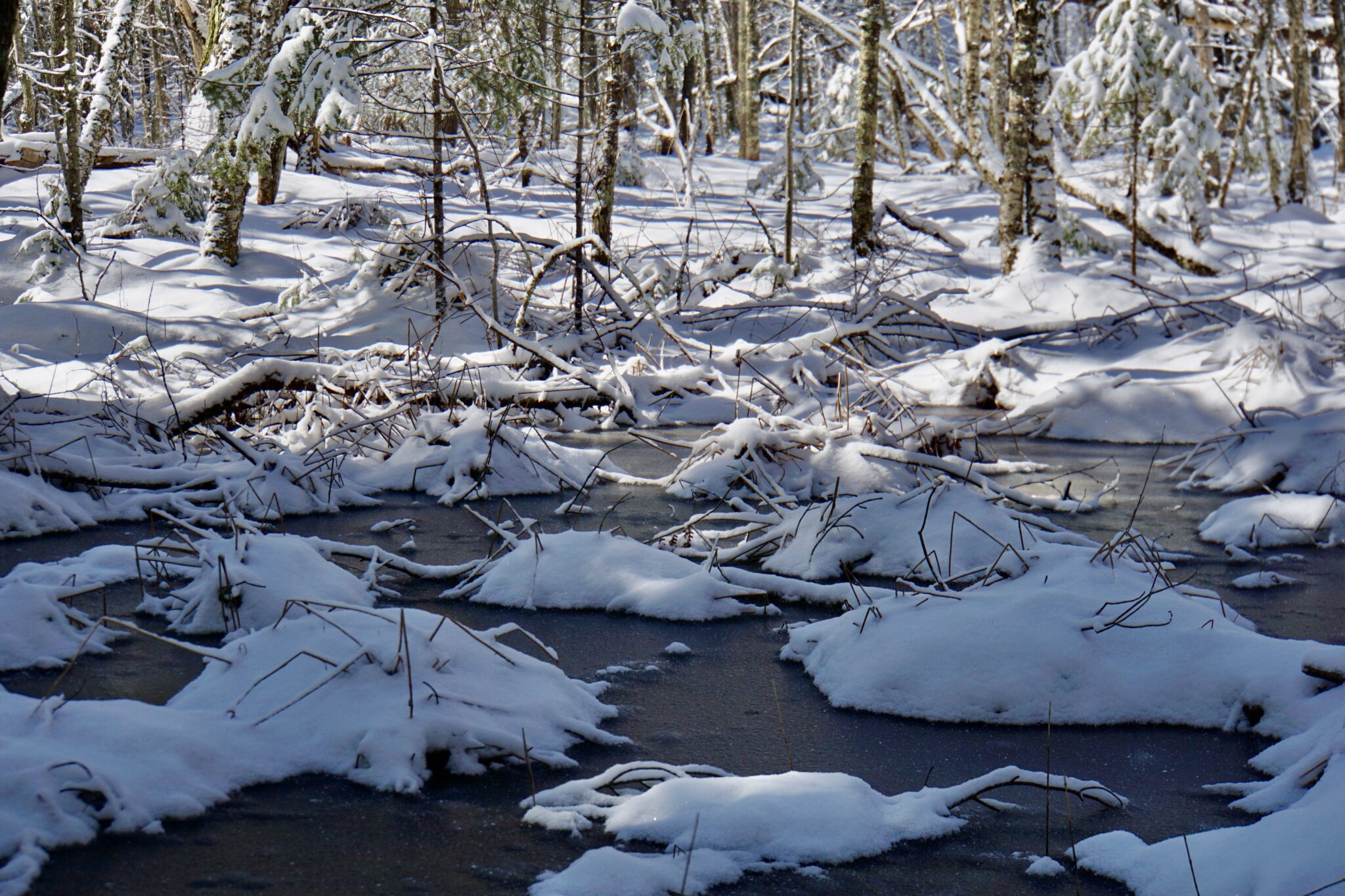 Frequently Asked Questions - Town of Spider Lake