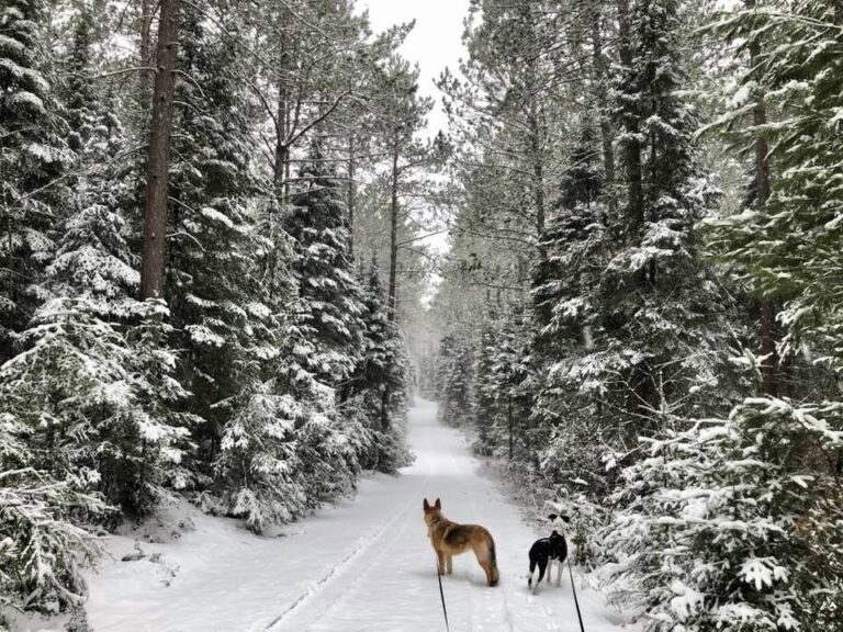 Gallery - Town of Spider Lake