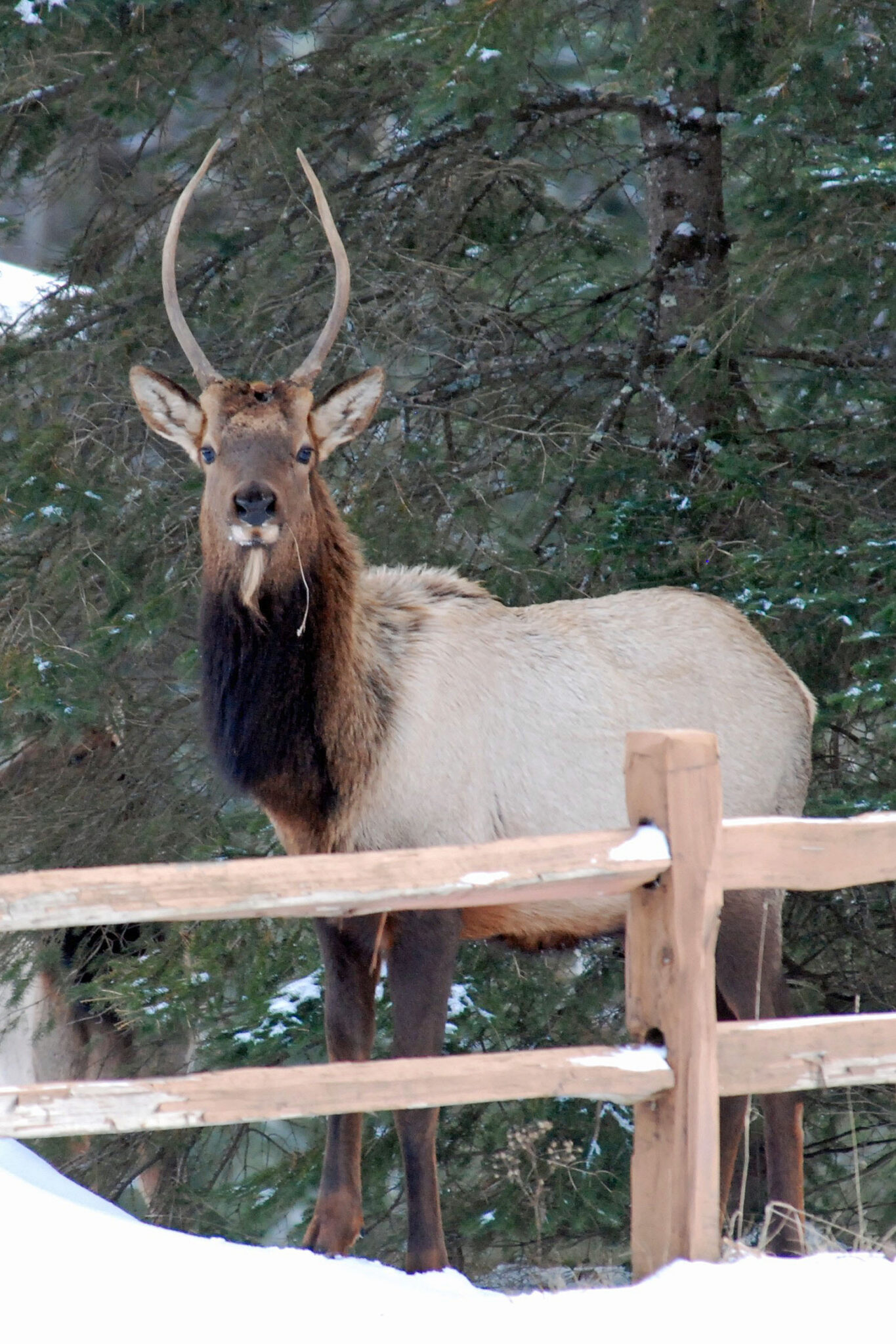 Gallery - Town of Spider Lake