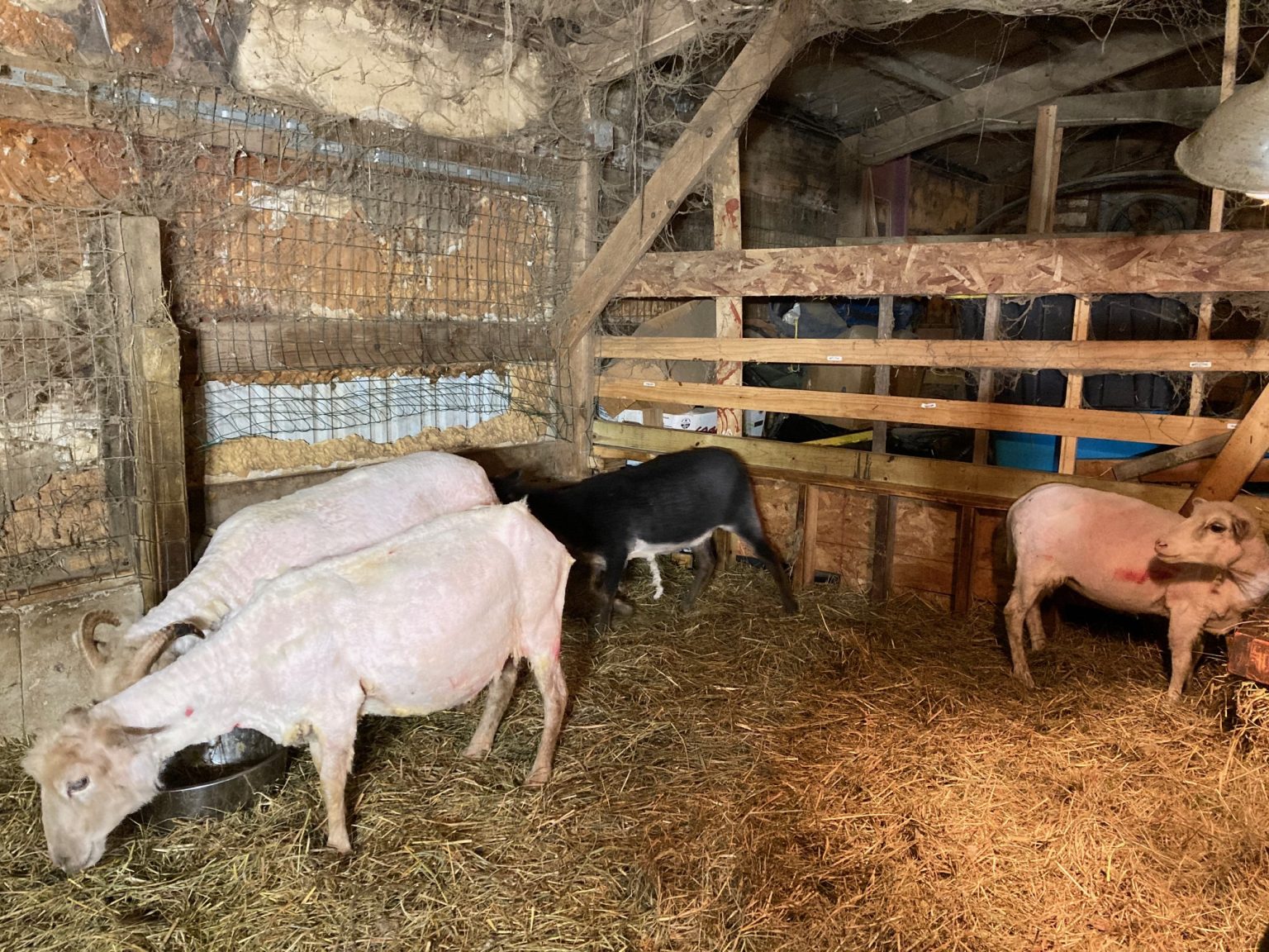 Town of Spring Valley, Rock County, WI – Official Website of the Town ...