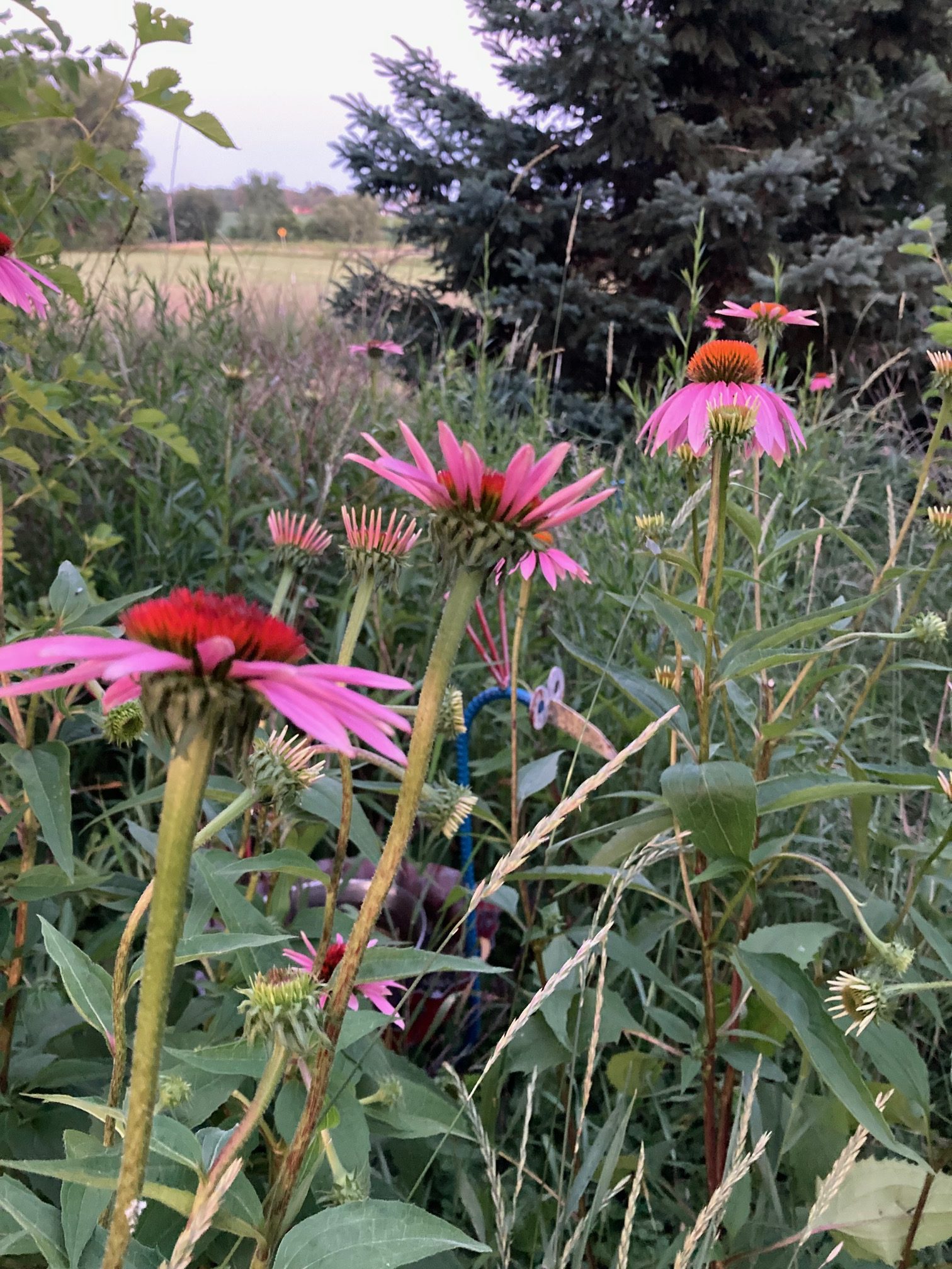 Town of Spring Valley, Rock County, WI – Official Website of the Town ...