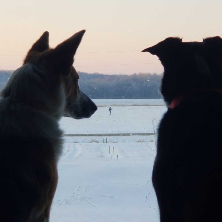 Town of Spring Valley, Rock County, WI – Official Website of the Town ...