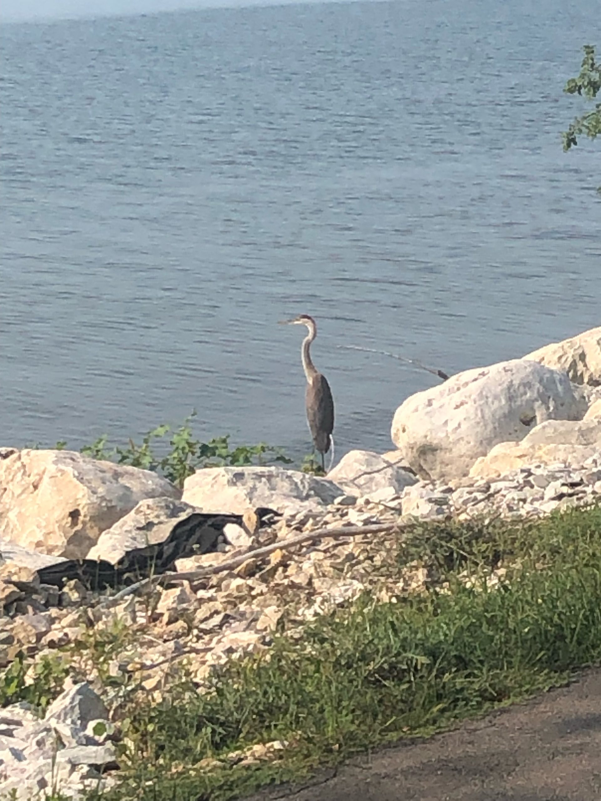 Home - Town of Union