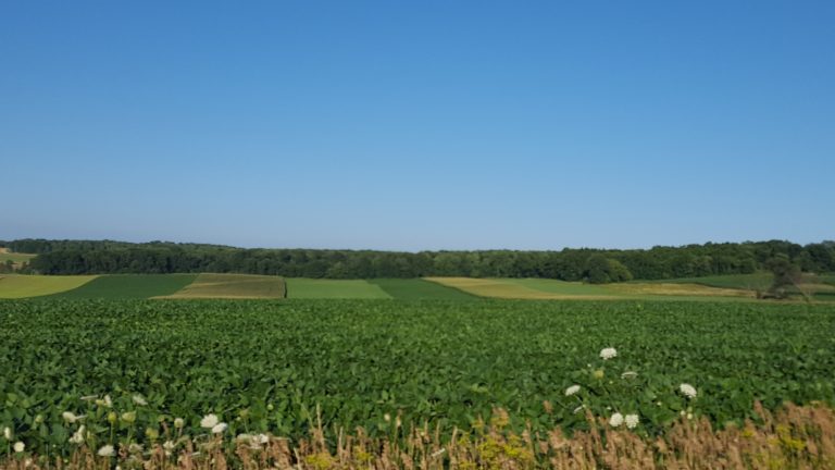 Town of Westfield, Sauk County, Wisconsin | Official Website of the ...