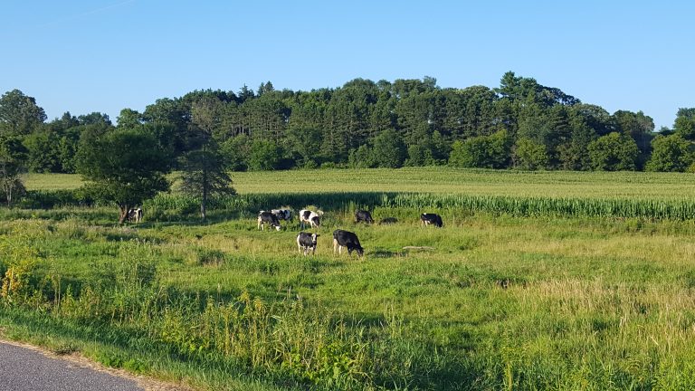 Town of Westfield, Sauk County, Wisconsin | Official Website of the ...
