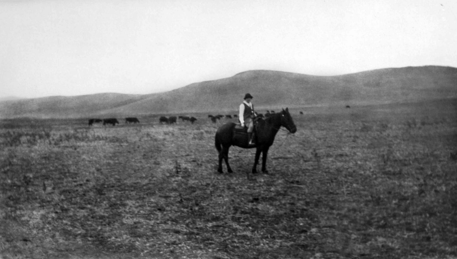 History - Tres Hermanos Conservation Authority