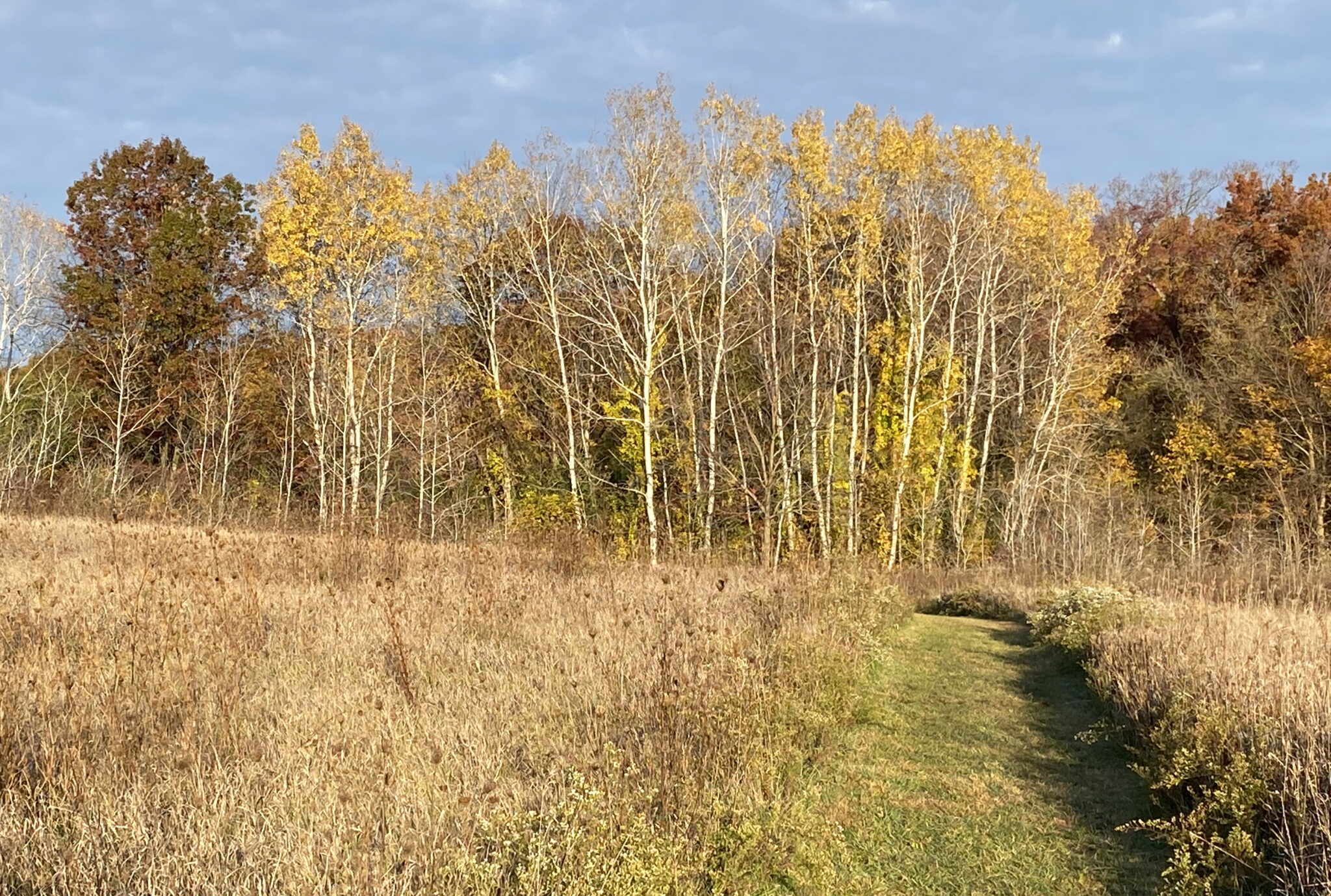 Village of Rochester, Racine County, Wisconsin – Official Website of ...