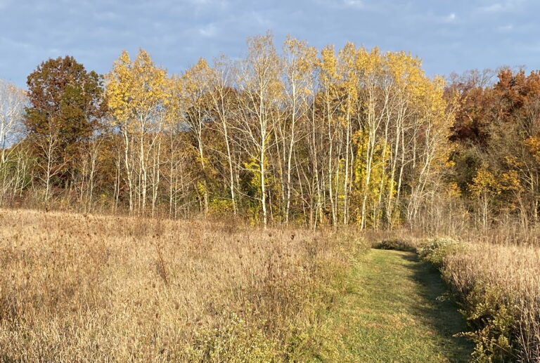 Village of Rochester, Racine County, Wisconsin – Official Website of ...