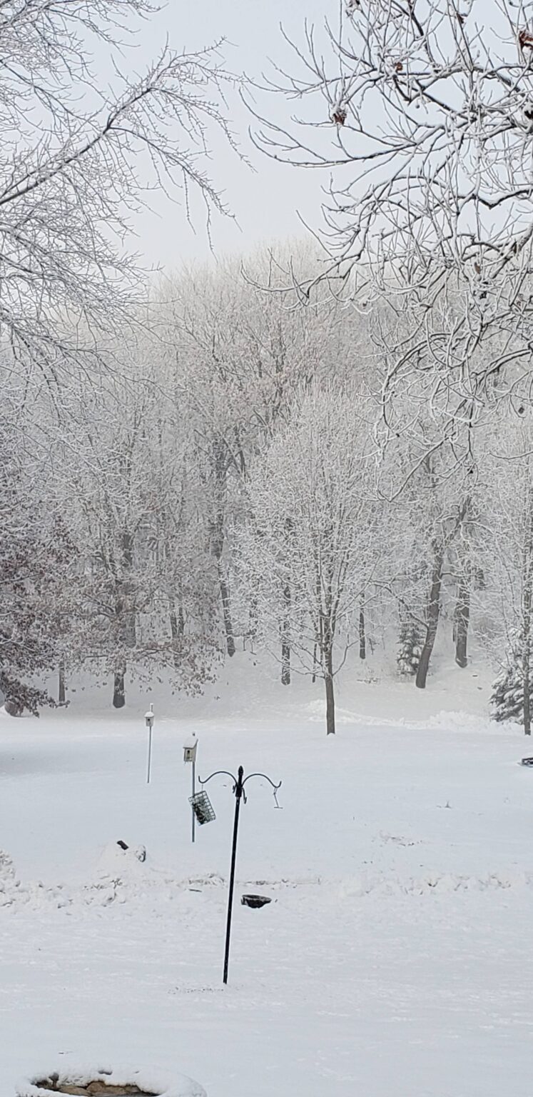 Village of Rochester, Racine County, Wisconsin – Official Website of ...